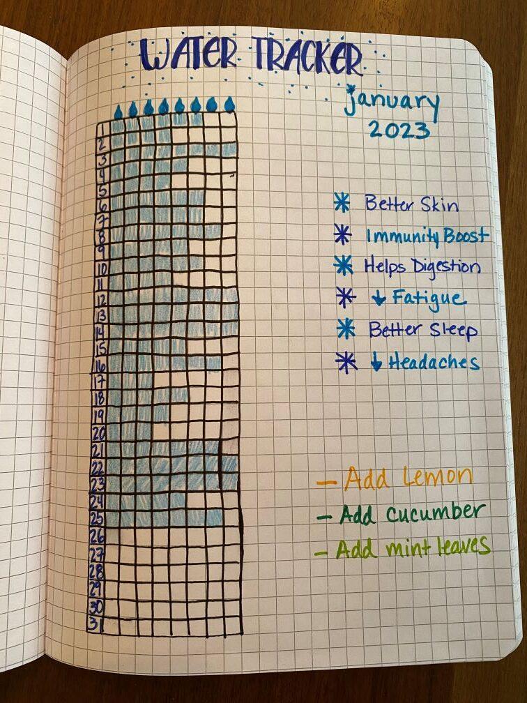 11 Simple Ideas for a Weight Loss Bullet Journal - Robyn Marie Coaching